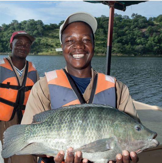 Case Study: Development of Chicoa Fish Farm in Mozambique (on-going ...