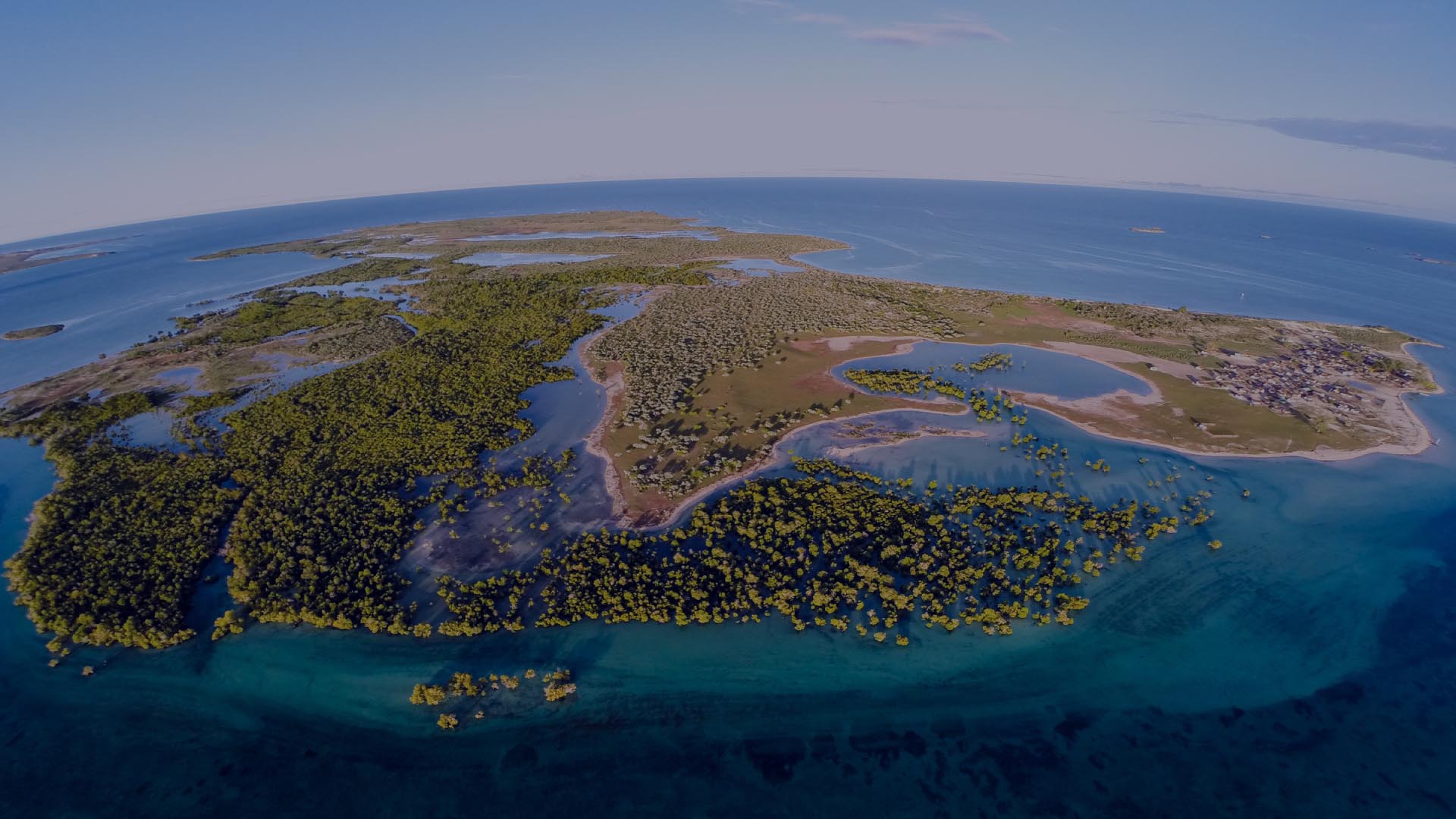 Case study: Tahiry Honko – Community-Led Mangrove Carbon Project ...
