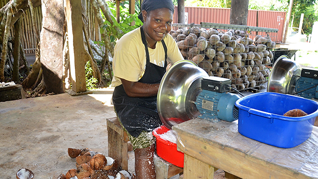 Climbing the coconut value chain in the Pacific | Commonwealth