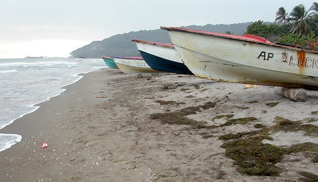 Tackling climate change in Mauritius | Commonwealth