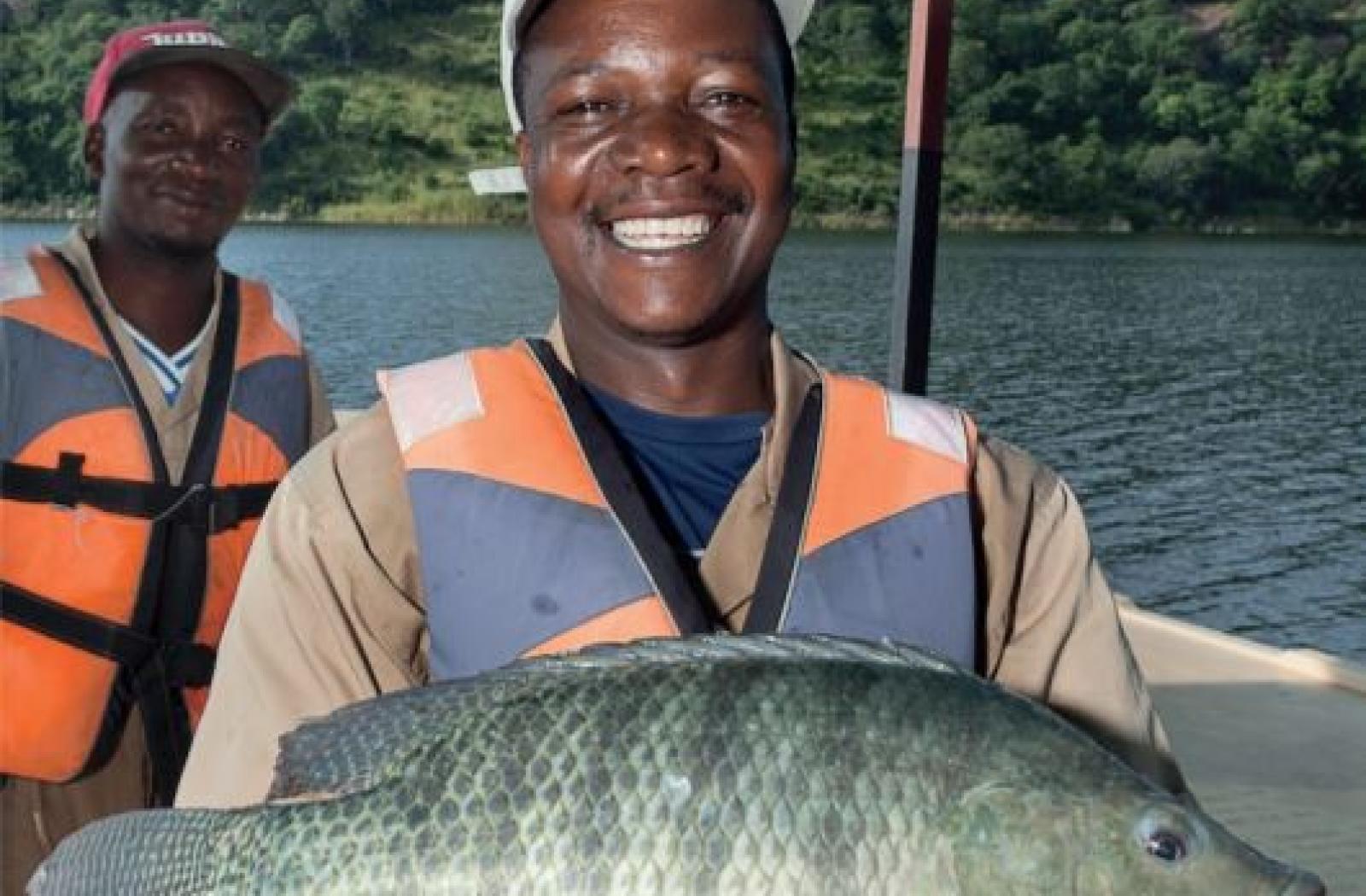 Case Study: Development of Chicoa Fish Farm in Mozambique (on-going ...