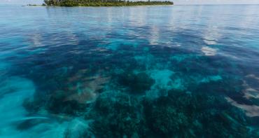 Belize | Commonwealth